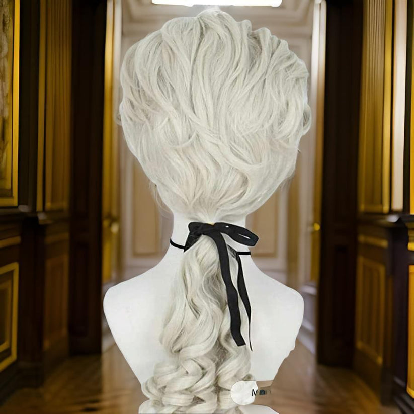 Regency Historical Costume Wig – Molliwater